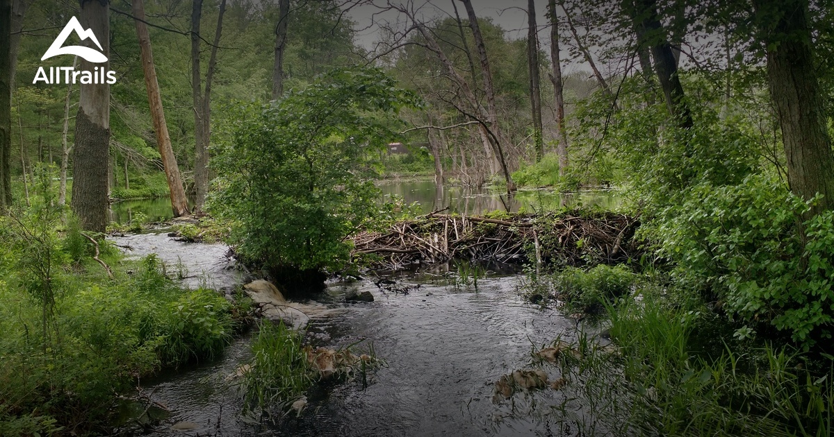 Best Trails in Diamond Hill State Park - Rhode Island | AllTrails