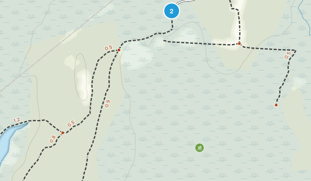 Best Trails in Great Swamp Wildlife Reservation - Rhode Island | AllTrails