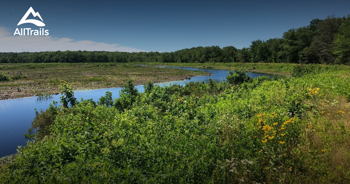 Best Trails in Great Swamp Wildlife Reservation - Rhode Island | AllTrails