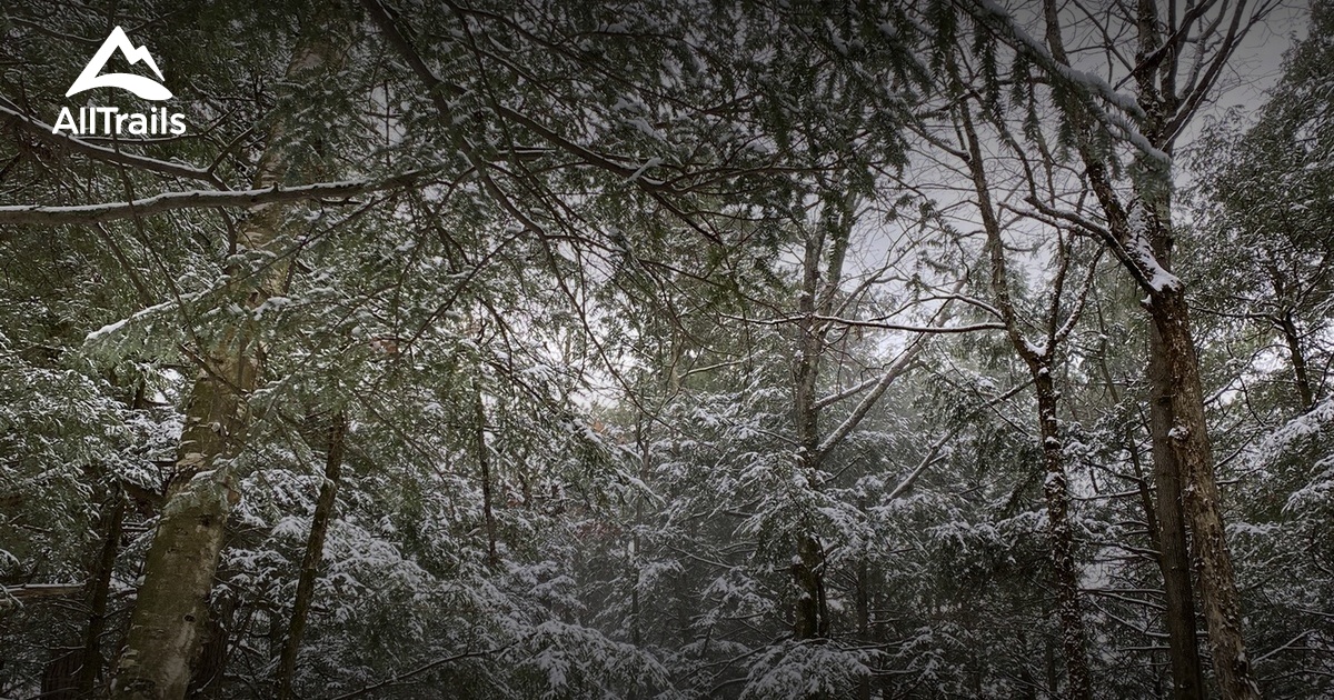 Best hikes and trails in Red Rocks Park | AllTrails