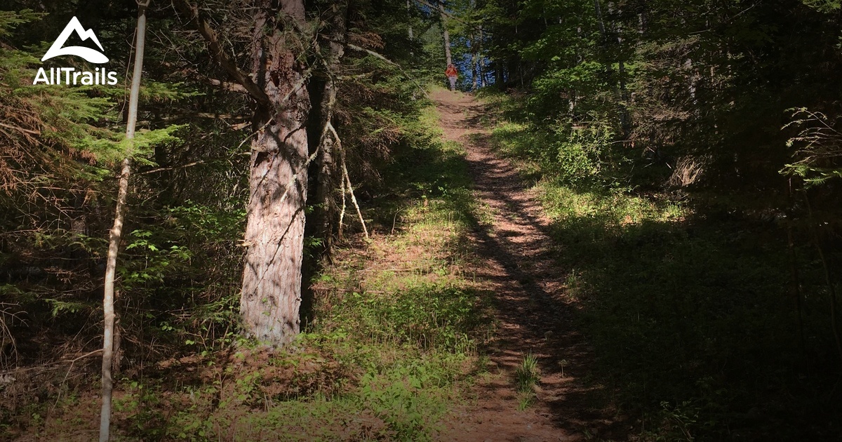 Best Hikes and Trails in Jones Springs Management Area | AllTrails