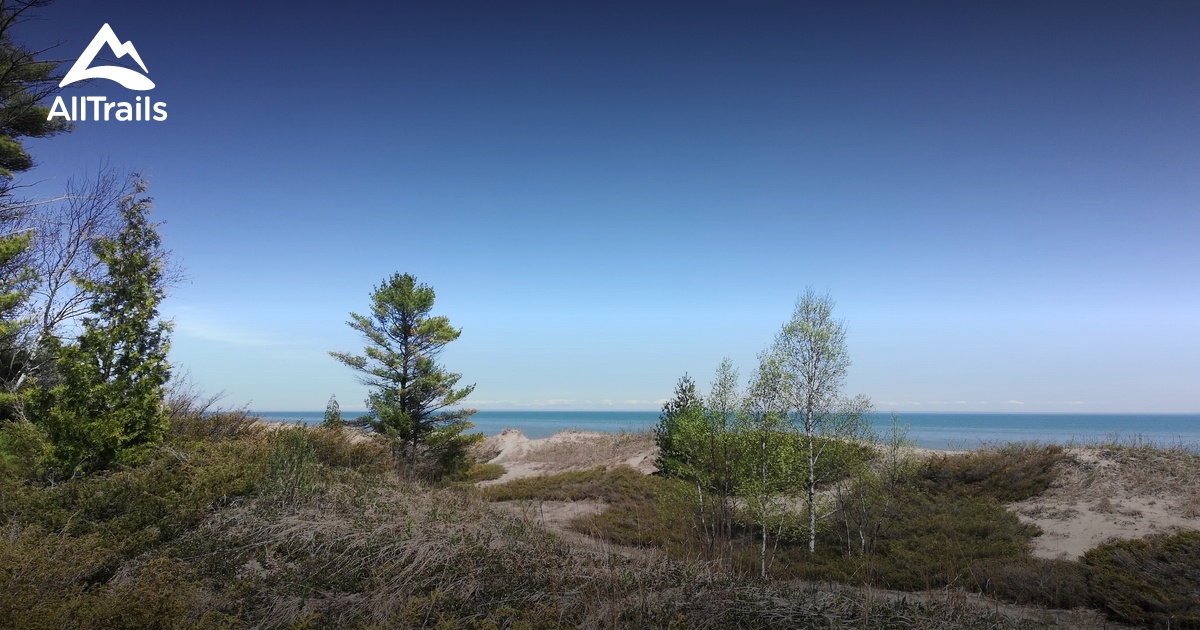 Best hikes and trails in Point Beach Ridges State Natural Area | AllTrails