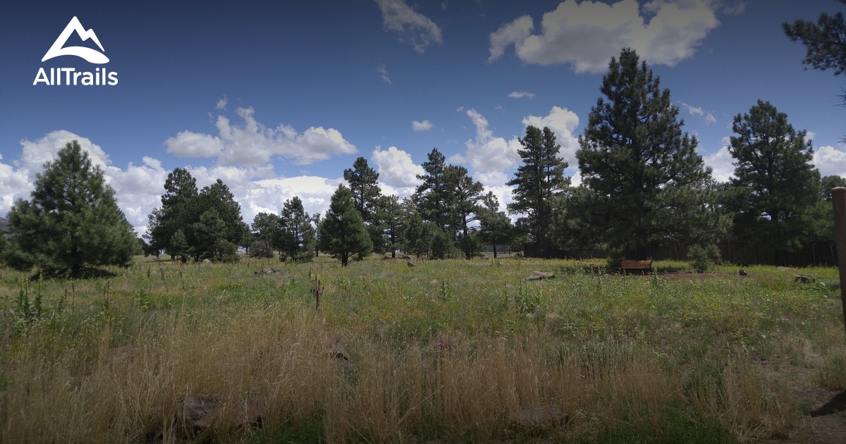 Best views trails in Buffalo Park | AllTrails