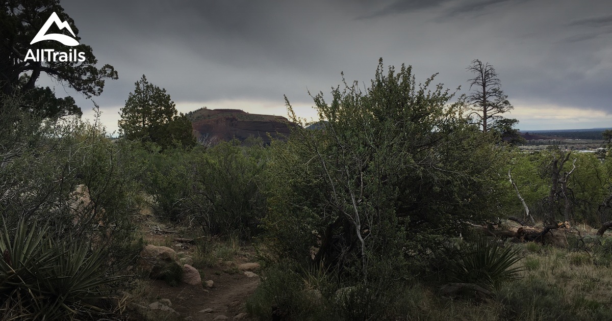 Best Trails in Bushmaster Park - Arizona | AllTrails