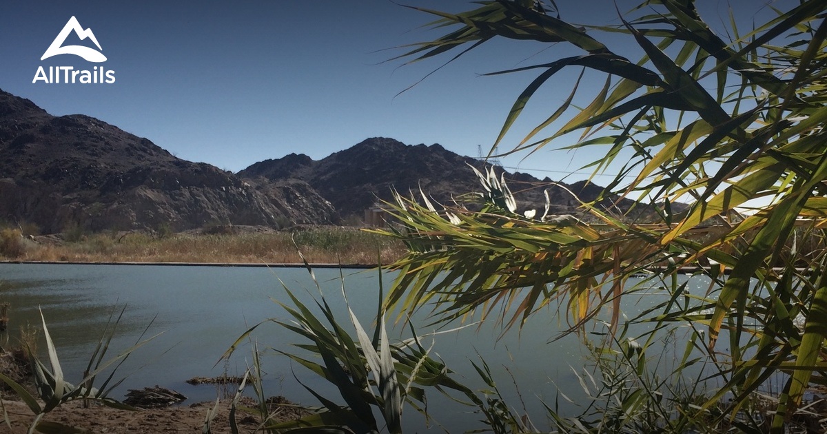 Best Hikes and Trails in Mittry Lake Wildlife Area | AllTrails