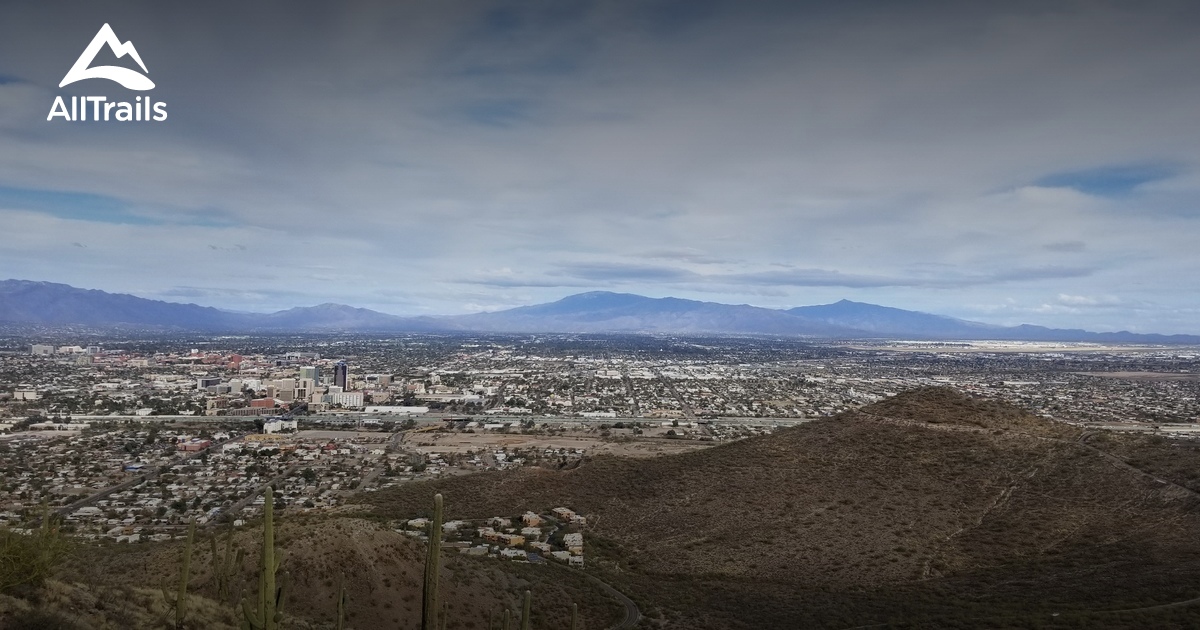 Best Trails in Sentinel Peak Park - Arizona | AllTrails
