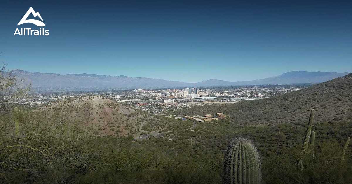 Best Trails in Sentinel Peak Park - Arizona | AllTrails