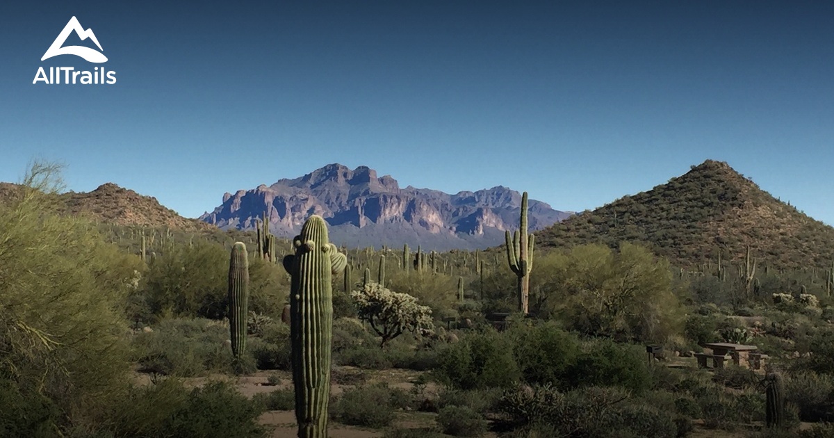 Best Trails in Usery Mountain Regional Park - Arizona | AllTrails