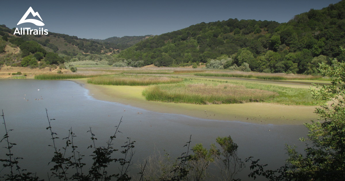 Best hikes and trails in Dan Foley Park | AllTrails