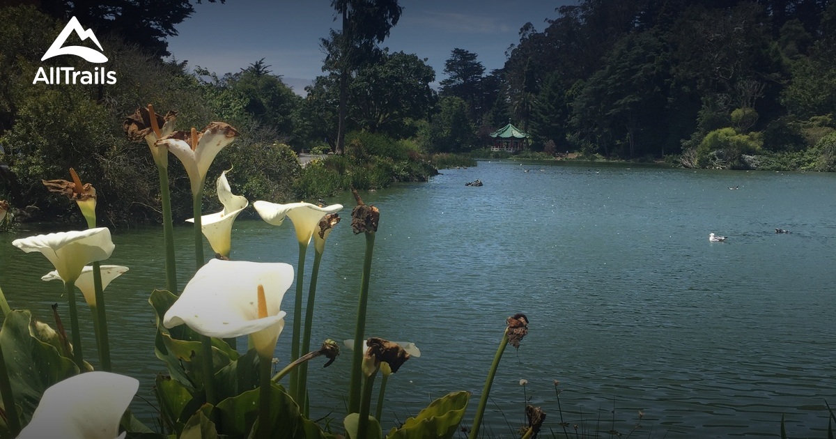 Best Trails in Golden Gate Park - California | AllTrails