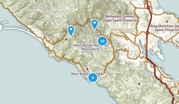 Best Trails in Muir Woods National Monument - California | 808 Photos ...