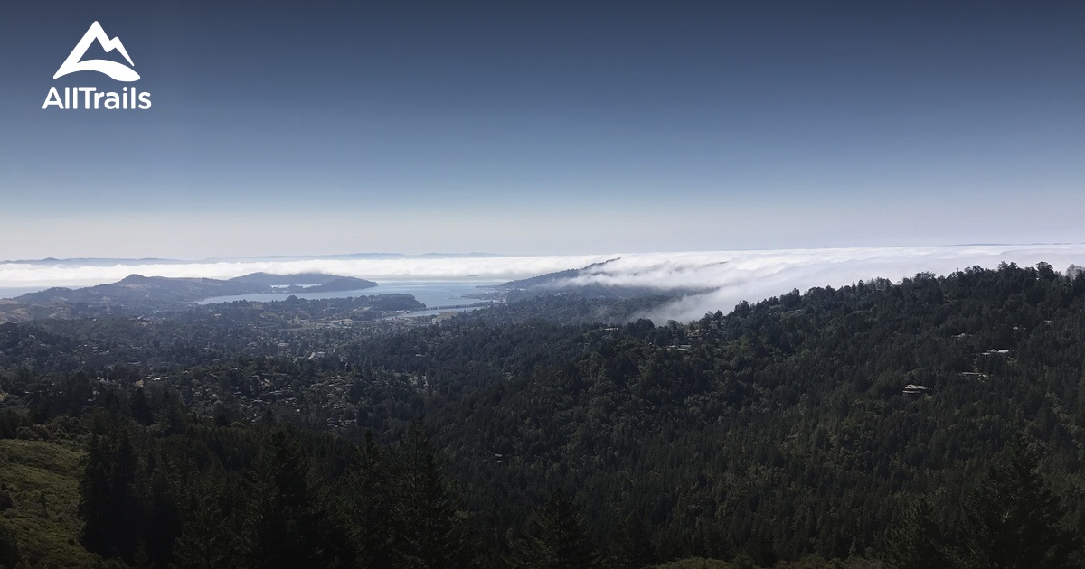 Best Trails in Muir Woods National Monument - California | AllTrails