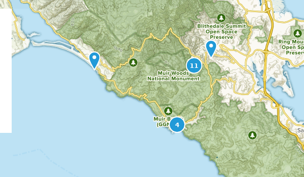 Best Trails in Muir Woods National Monument - California | AllTrails