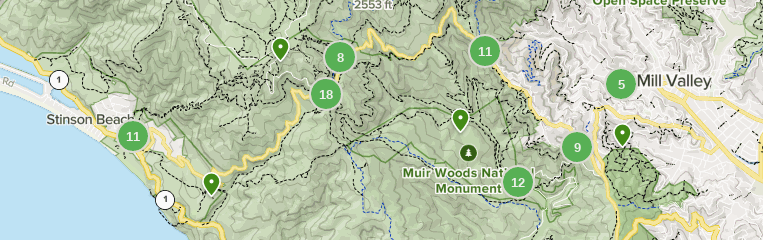 Muir Woods National Monument: as 10 melhores trilhas | AllTrails