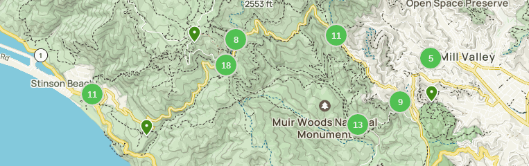 Best 10 Hikes and Trails in Muir Woods National Monument | AllTrails