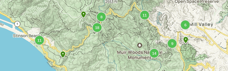 10 Best Hikes and Trails in Muir Woods National Monument | AllTrails