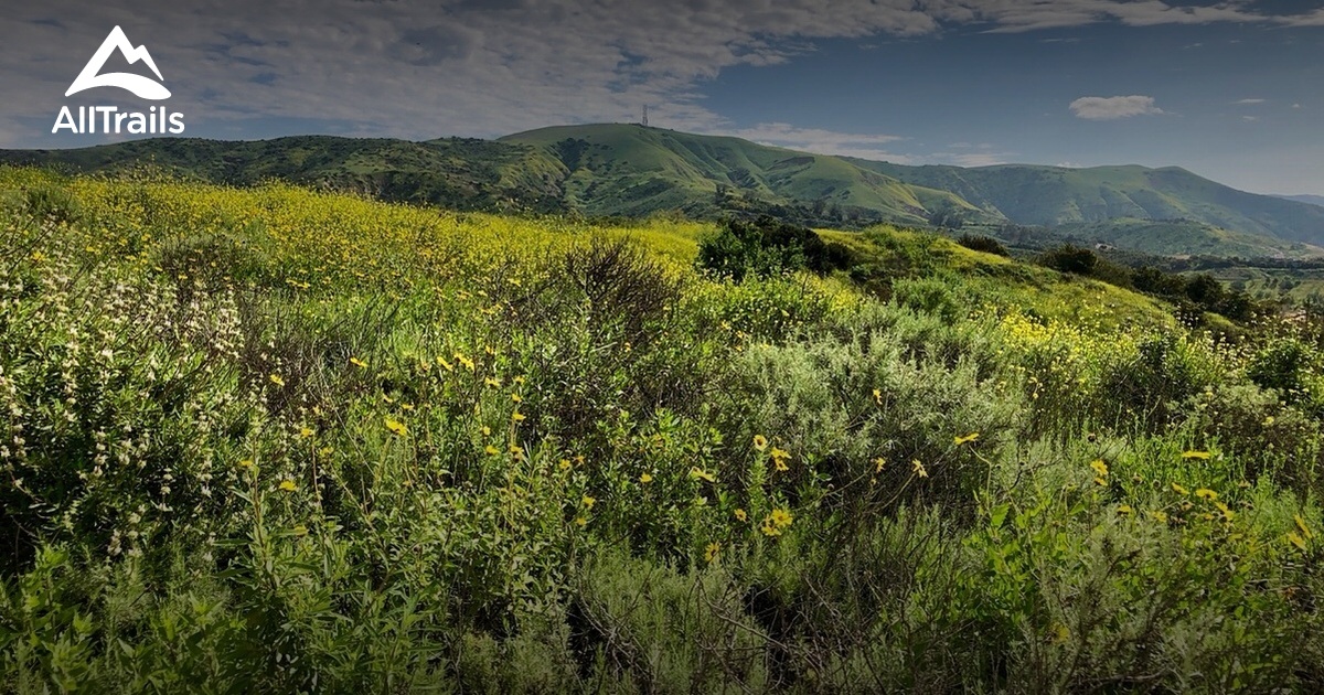 Best hikes and trails in Peters Canyon Regional Park | AllTrails