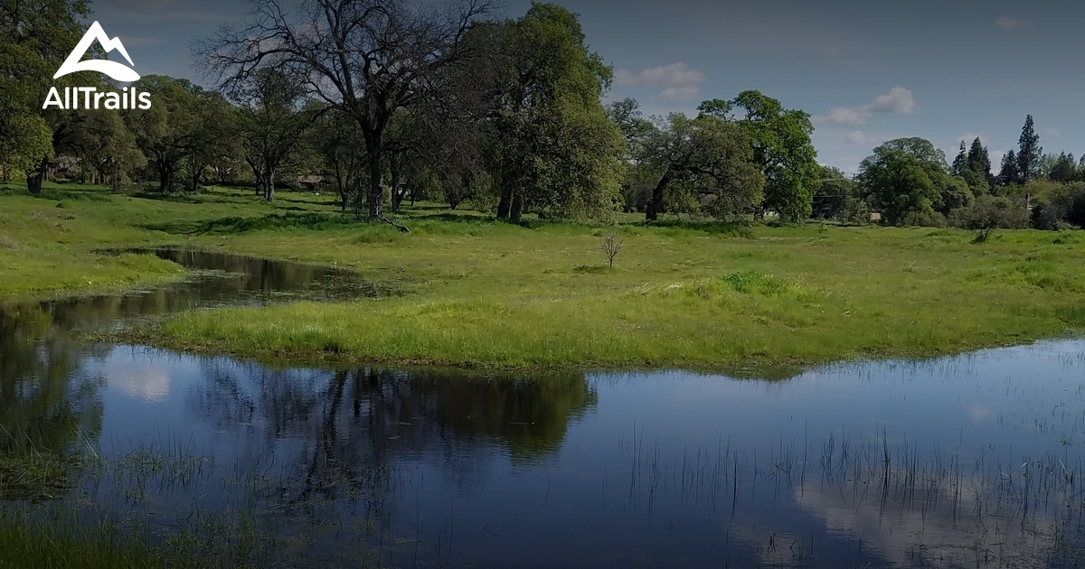 Best hikes and trails in Phoenix Park | AllTrails