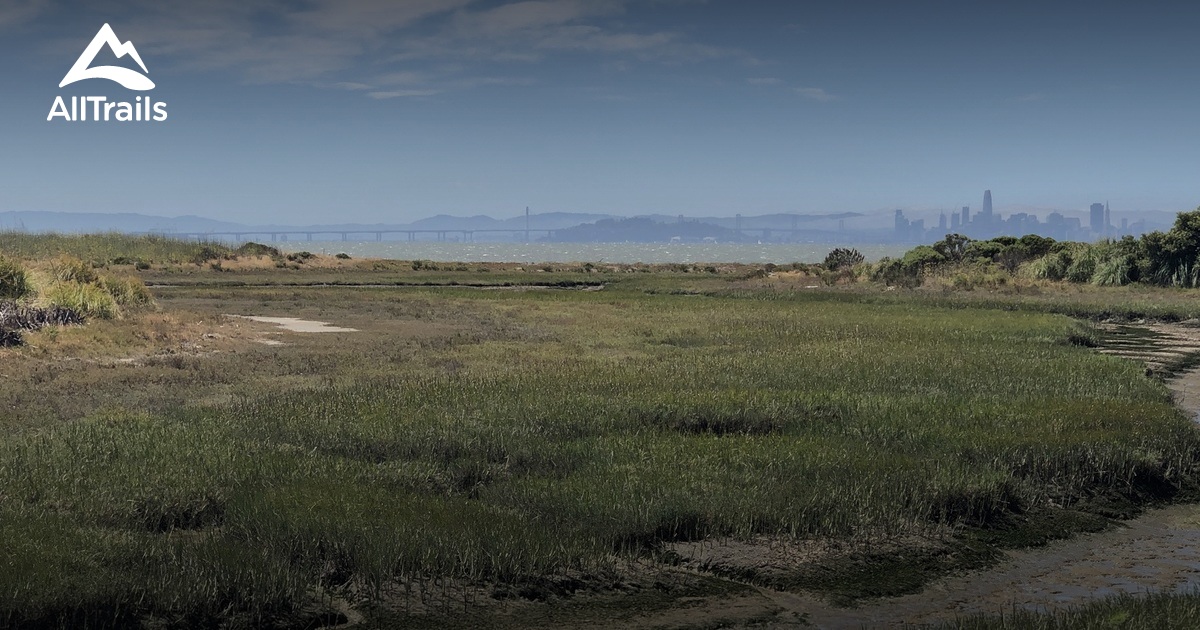 Best Trails in Point Isabel Regional Shoreline - California | AllTrails