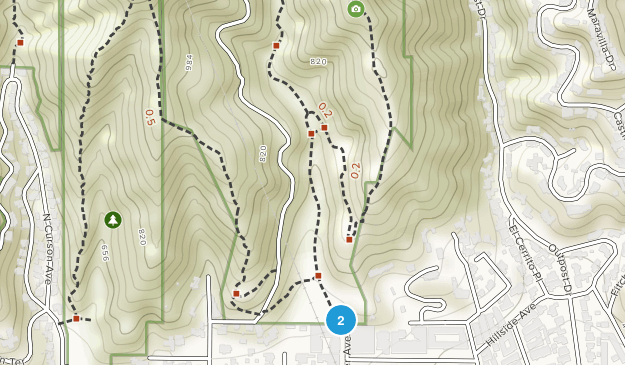 Best Trails in Runyon Canyon Park - California | AllTrails