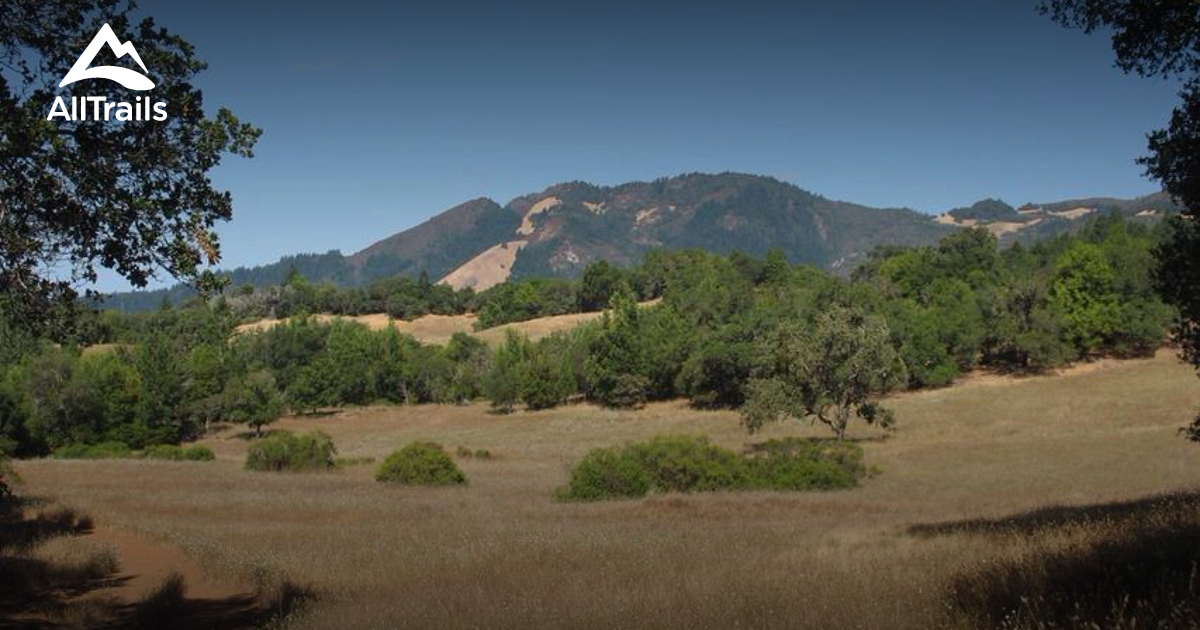 Best hikes and trails in Shiloh Ranch Regional Park | AllTrails