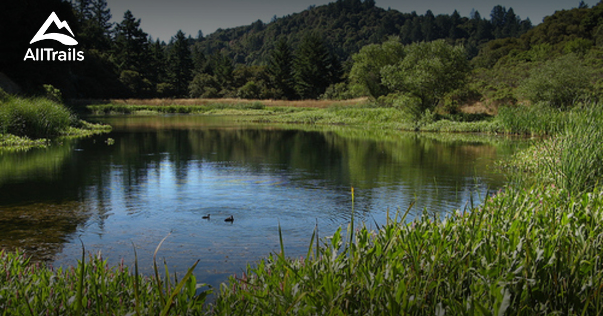 Best Trails in Skyline Ridge Open Space Preserve - California | AllTrails