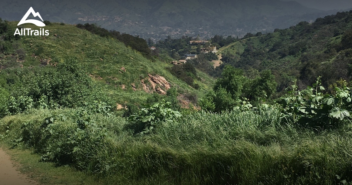 South Hills Park : les meilleures randonnées avec chiens en laisse ...