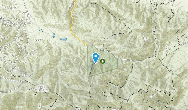 Best Trails in Tehachapi Mountain Park - California | AllTrails