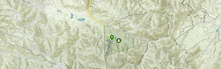 Best Trails in Tehachapi Mountain Park - California | AllTrails