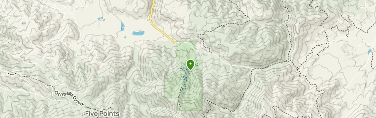 Best Hikes and Trails in Tehachapi Mountain Park | AllTrails