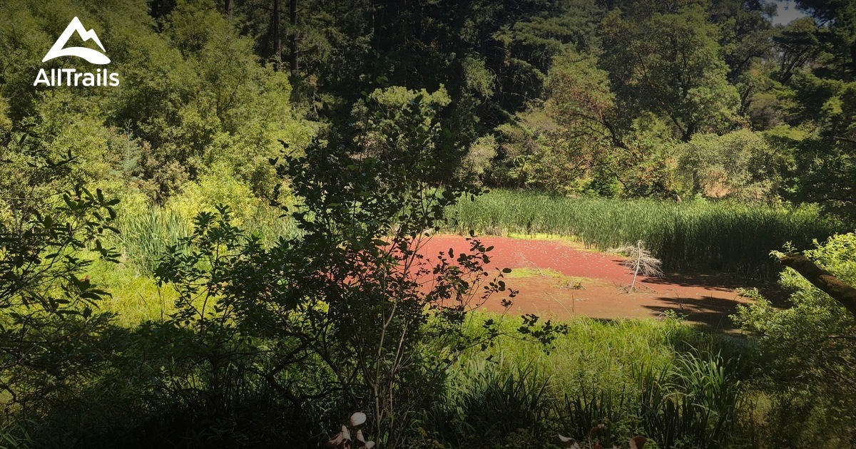 Best moderate trails in Thornewood Open Space Preserve | AllTrails