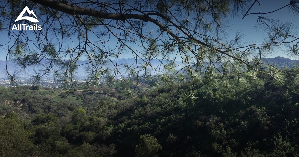 Best hikes and trails in Wilacre Park | AllTrails
