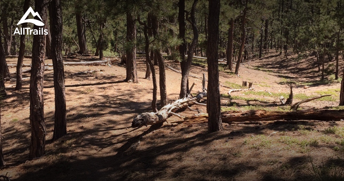 Best Trails in Fox Run Regional Park | AllTrails.com