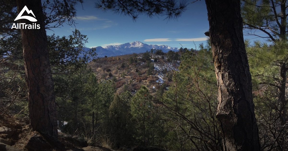 De 10 beste routes voor vogelen in Palmer Park | AllTrails