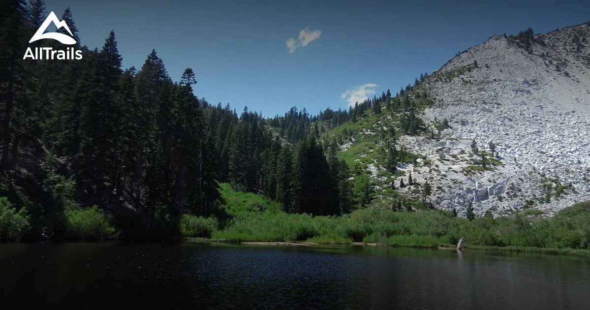 Best hikes and trails in Davis Creek Regional Park | AllTrails