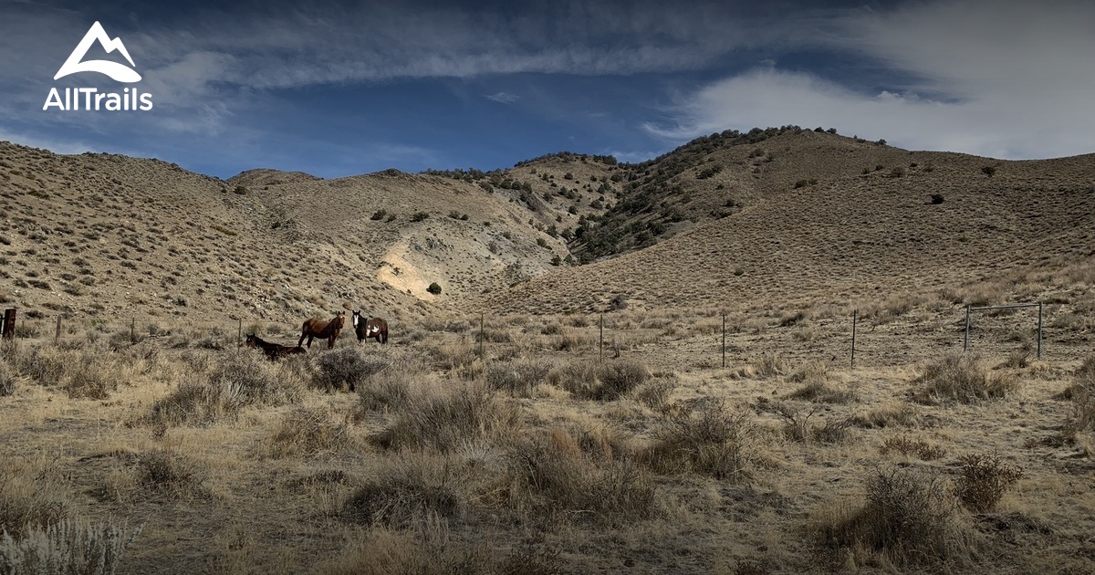 Best hikes and trails in Hidden Valley Regional Park | AllTrails