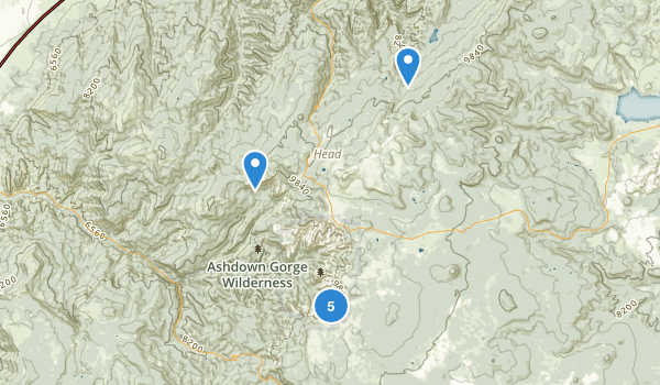 Best Trails in Cedar Breaks National Monument | AllTrails.com