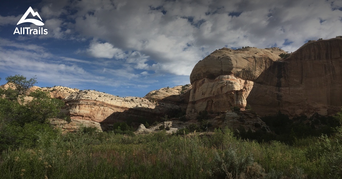 Best Trails in Grand Staircase - Escalante National Monument - Utah ...