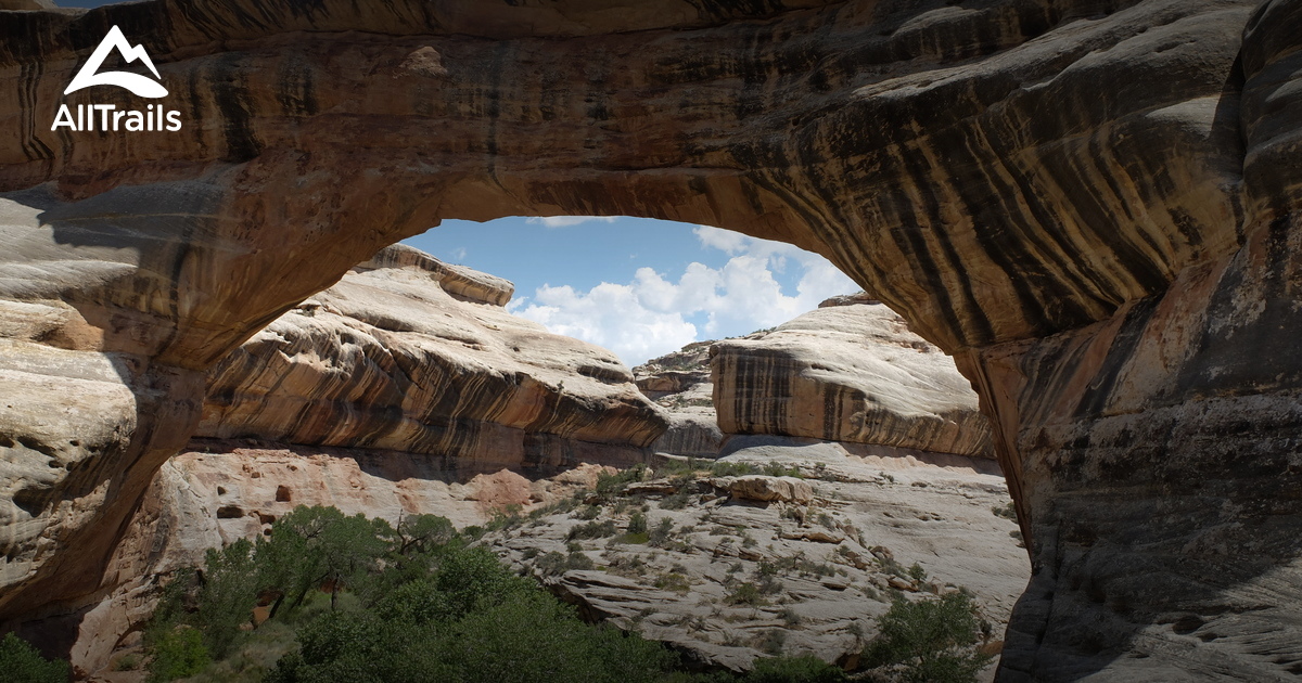Best Trails in Natural Bridges National Monument - Utah | AllTrails