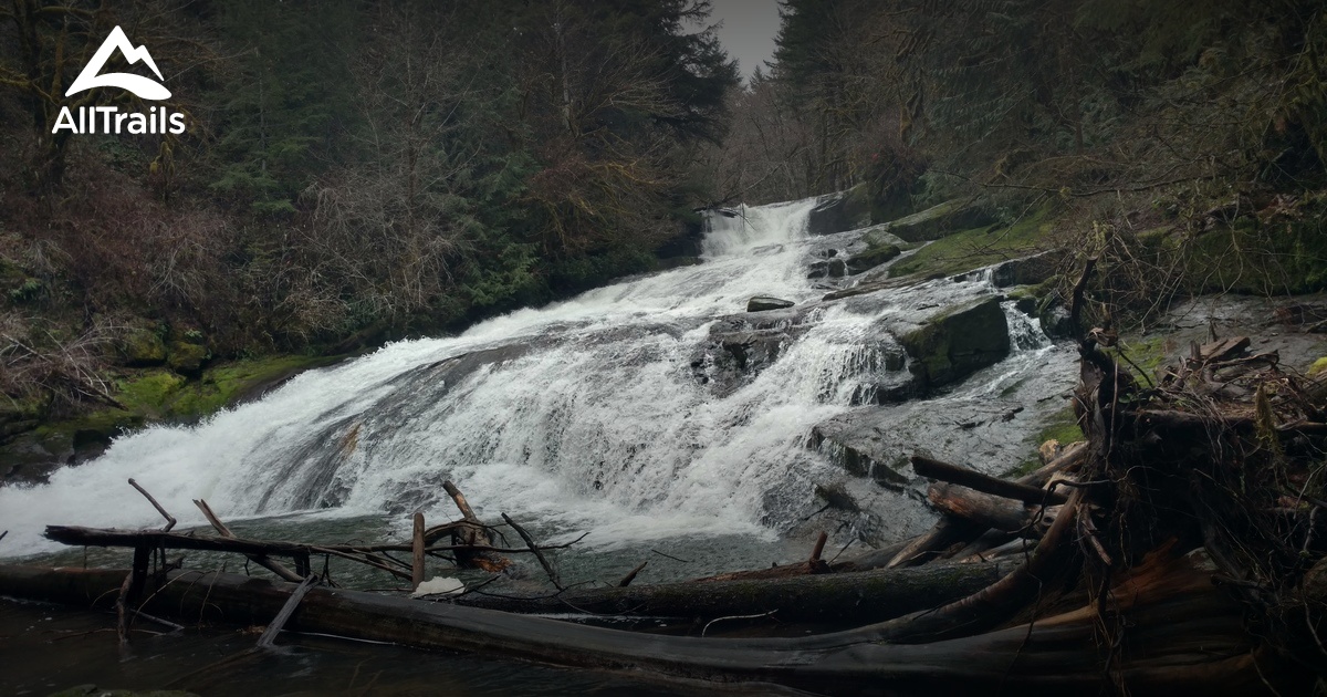 Best Trails in Alsea Falls Recreation Site - Oregon | AllTrails