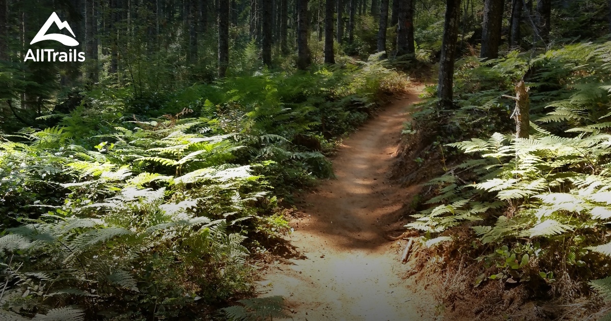Best Trails in Alsea Falls Recreation Site - Oregon | AllTrails