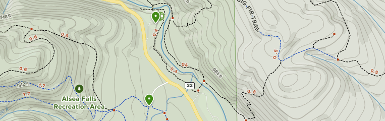 Best 10 Trails in Alsea Falls Recreation Site | AllTrails