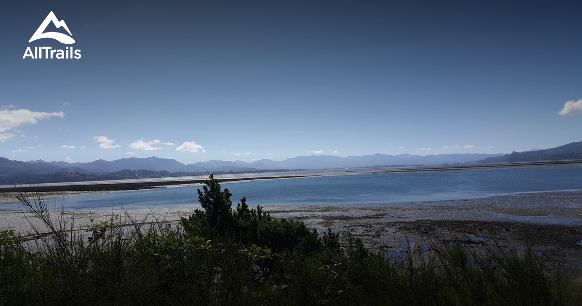 Best hikes and trails in Bayocean Peninsula County Park | AllTrails