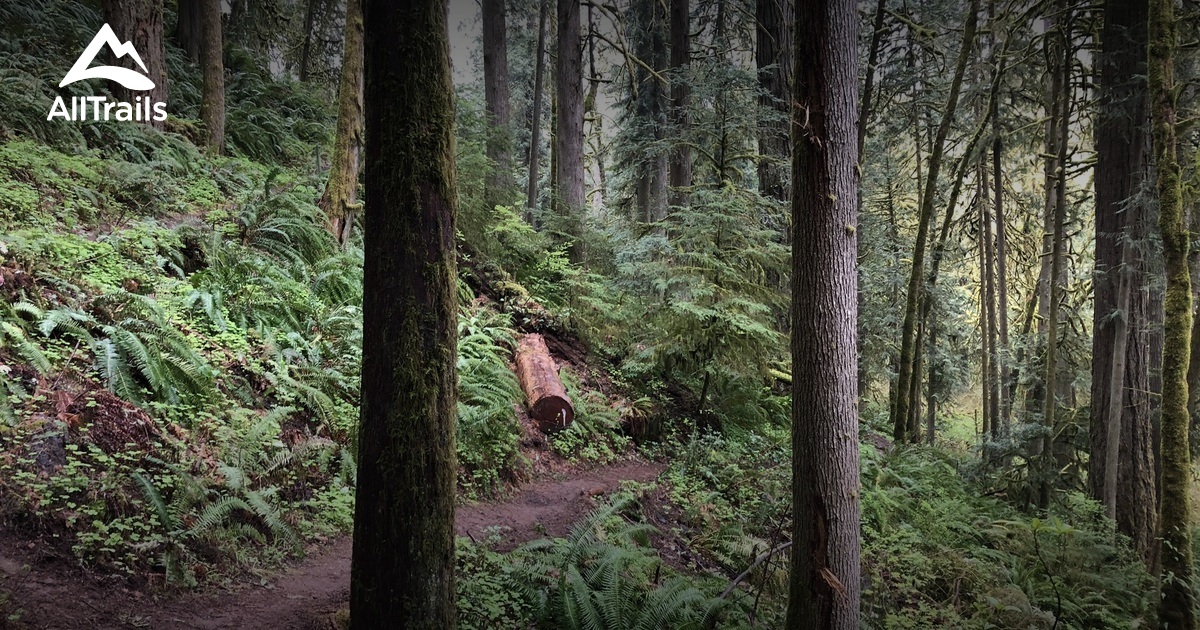 Best trails in Eagle Fern Park, Oregon | AllTrails