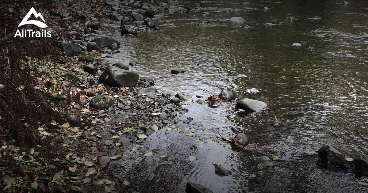 Best hikes and trails in Eagle Fern Park | AllTrails