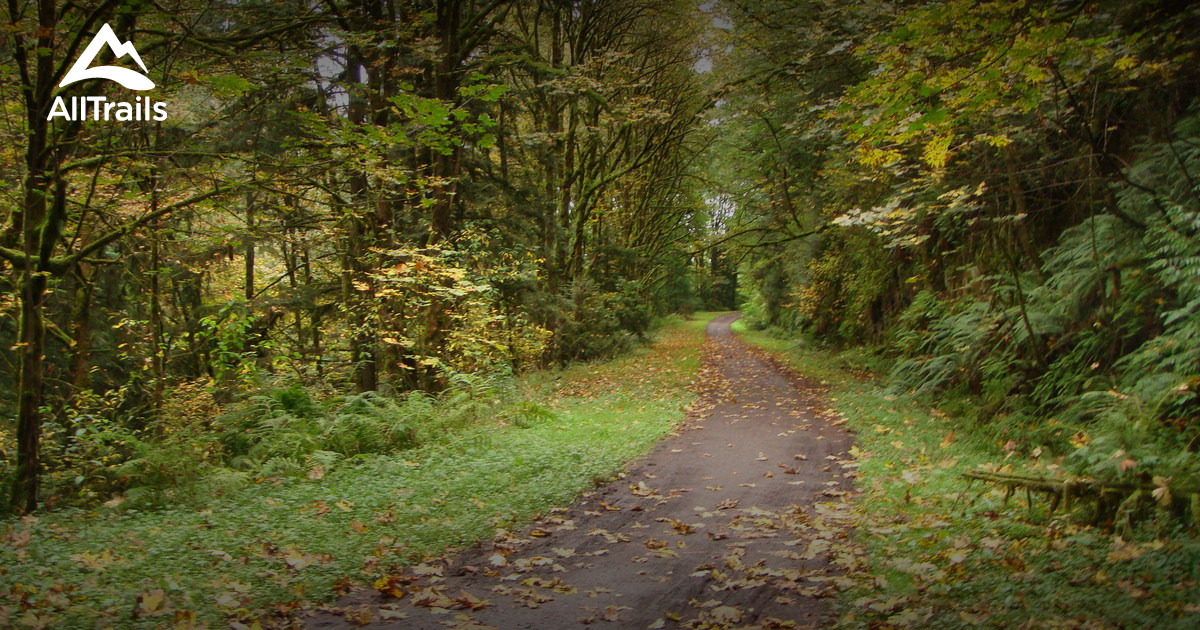 Best Trails in Forest Park - Oregon | 469 Photos & 825 Reviews | AllTrails