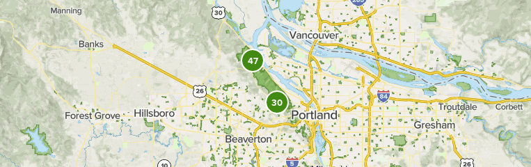 Best Trails in Forest Park - Oregon | AllTrails