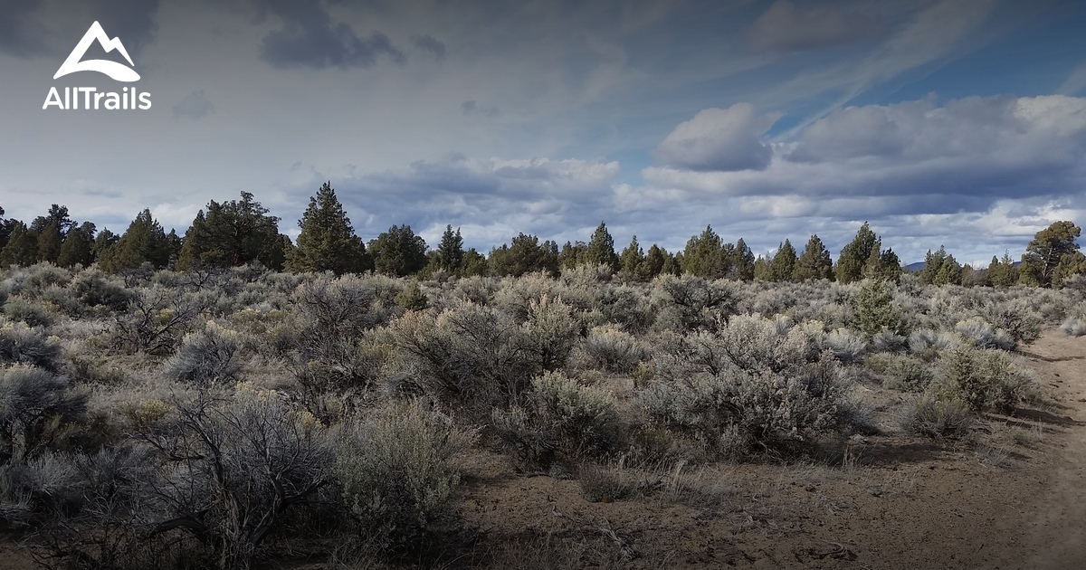 Best hikes and trails in Horse Ridge Natural Area | AllTrails