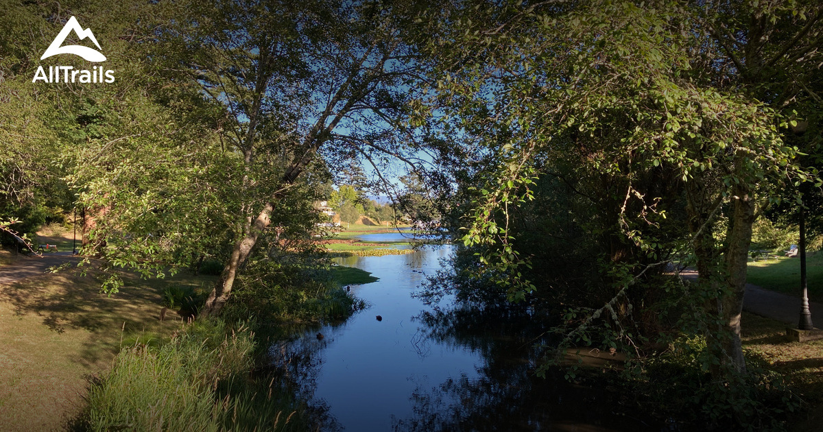 Best hikes and trails in Mingus Park | AllTrails