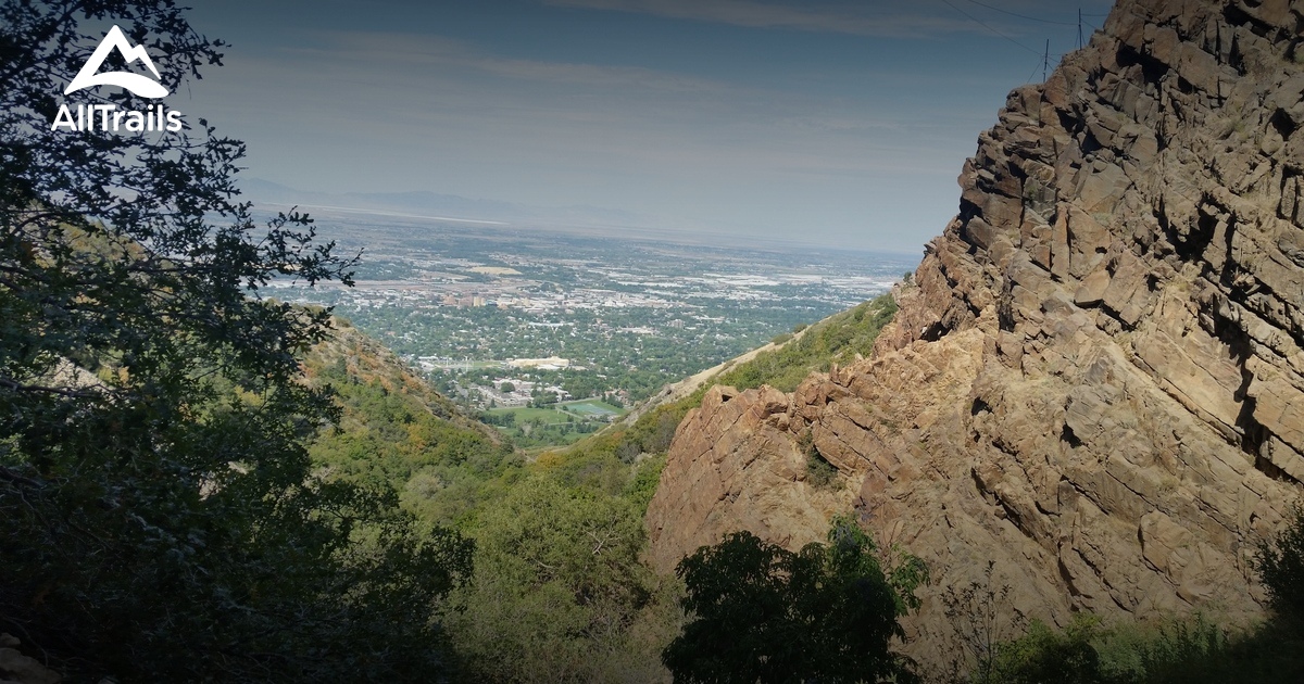 Best hikes and trails in Mount Ogden Park | AllTrails